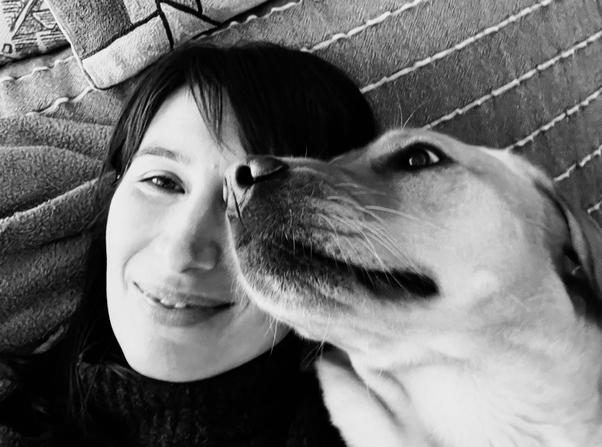 Who we are - The Miecat Institute Inc